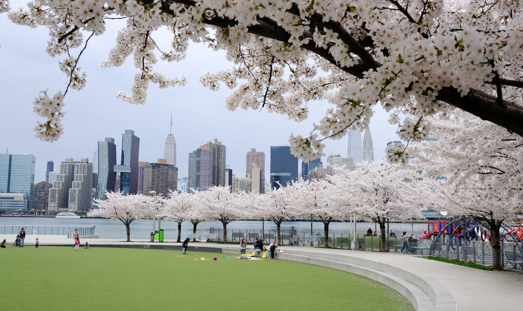 Seven Spots to See the Bloom in Queens