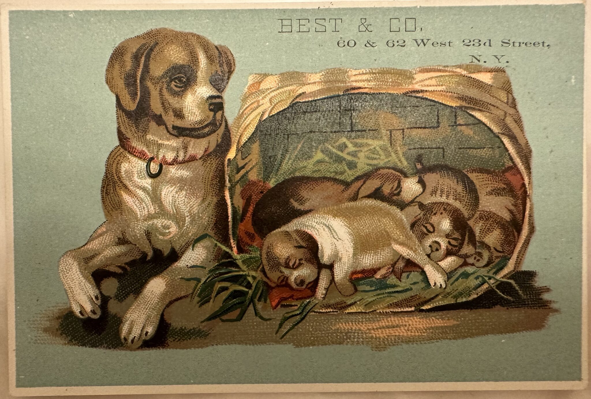 Rediscovering Victorian Era Trade Cards